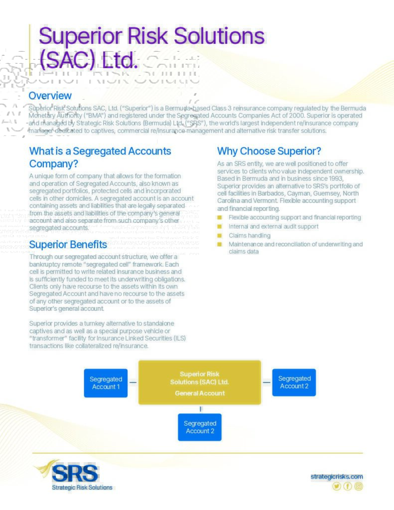 Brochures | Strategic Risks